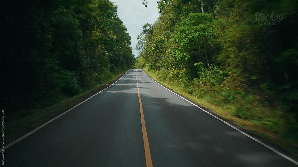 "POV From Car Driving Through Tropical Jungle" by Stocksy Contributor ...