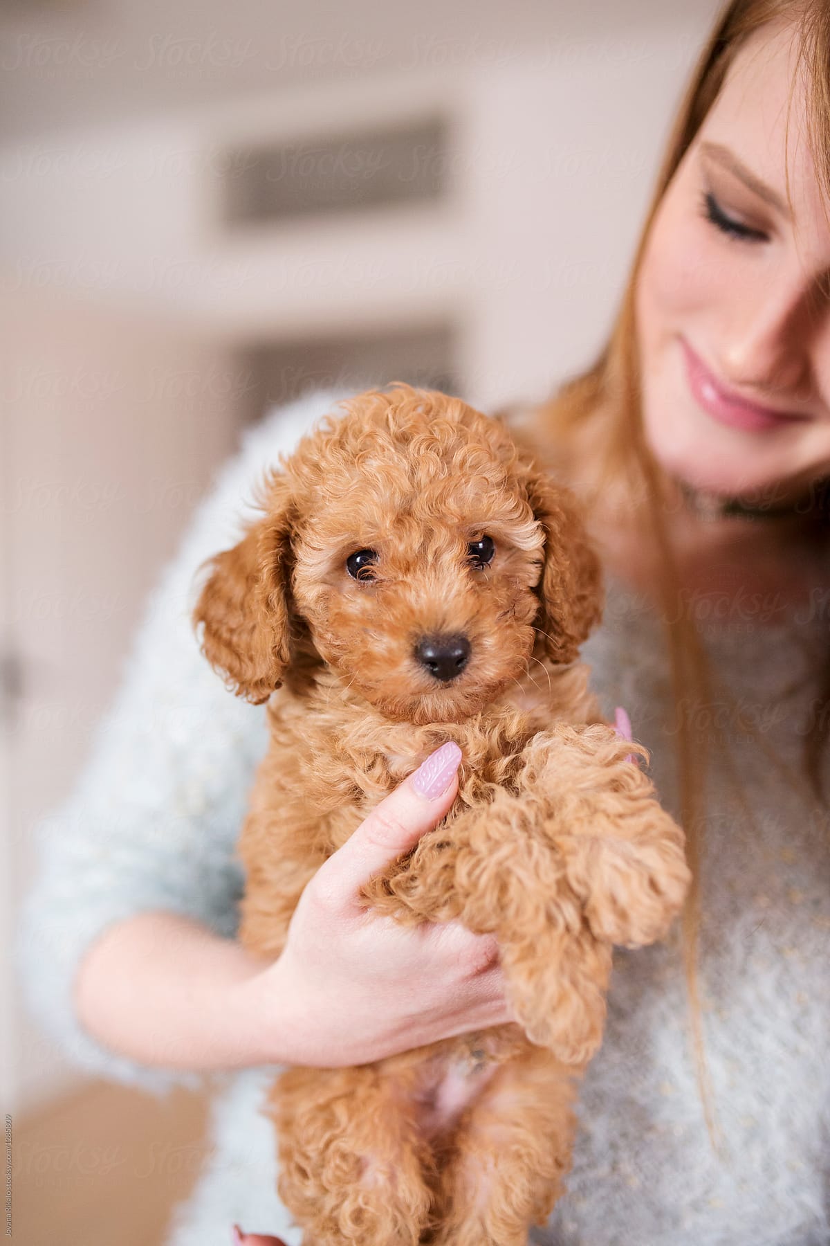 "Portrait Of A Young Woman And Her Poodle Puppy" by Stocksy Contributor ...
