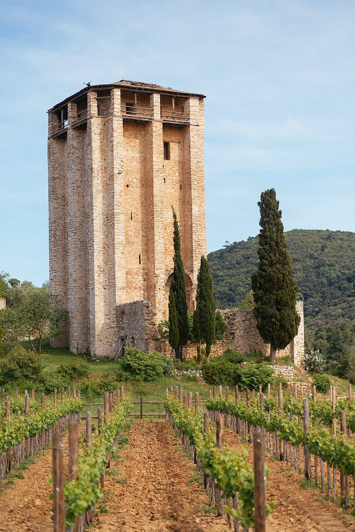 "Vineyard Near Old Rock Tower" by Stocksy Contributor "Marko" - Stocksy