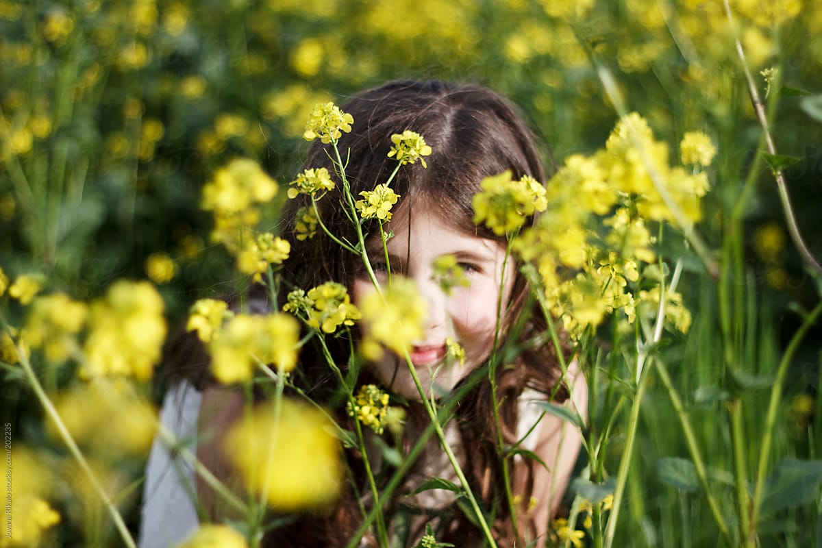 "Cute Little Girl Is Hiding Behind Yellow Flowers" by Stocksy ...
