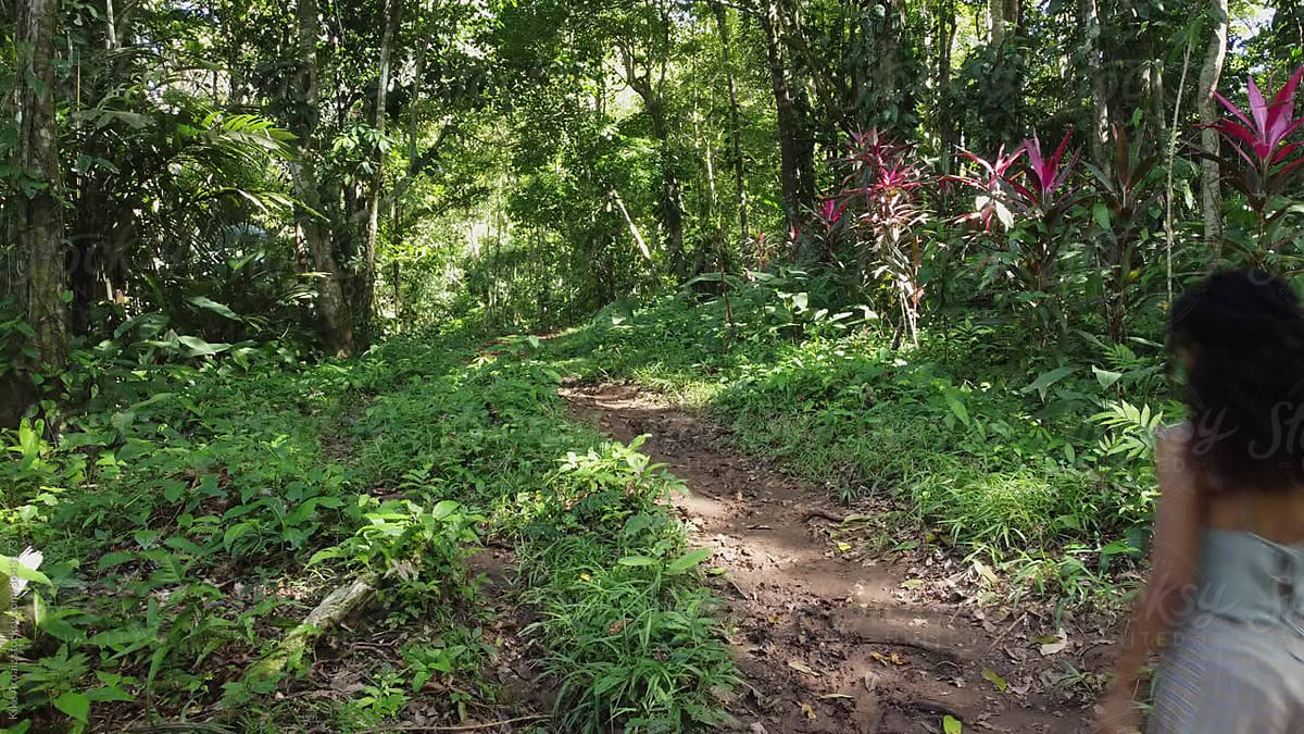"Woman Exploring Tropical Forest" by Stocksy Contributor "Kike Arnaiz ...