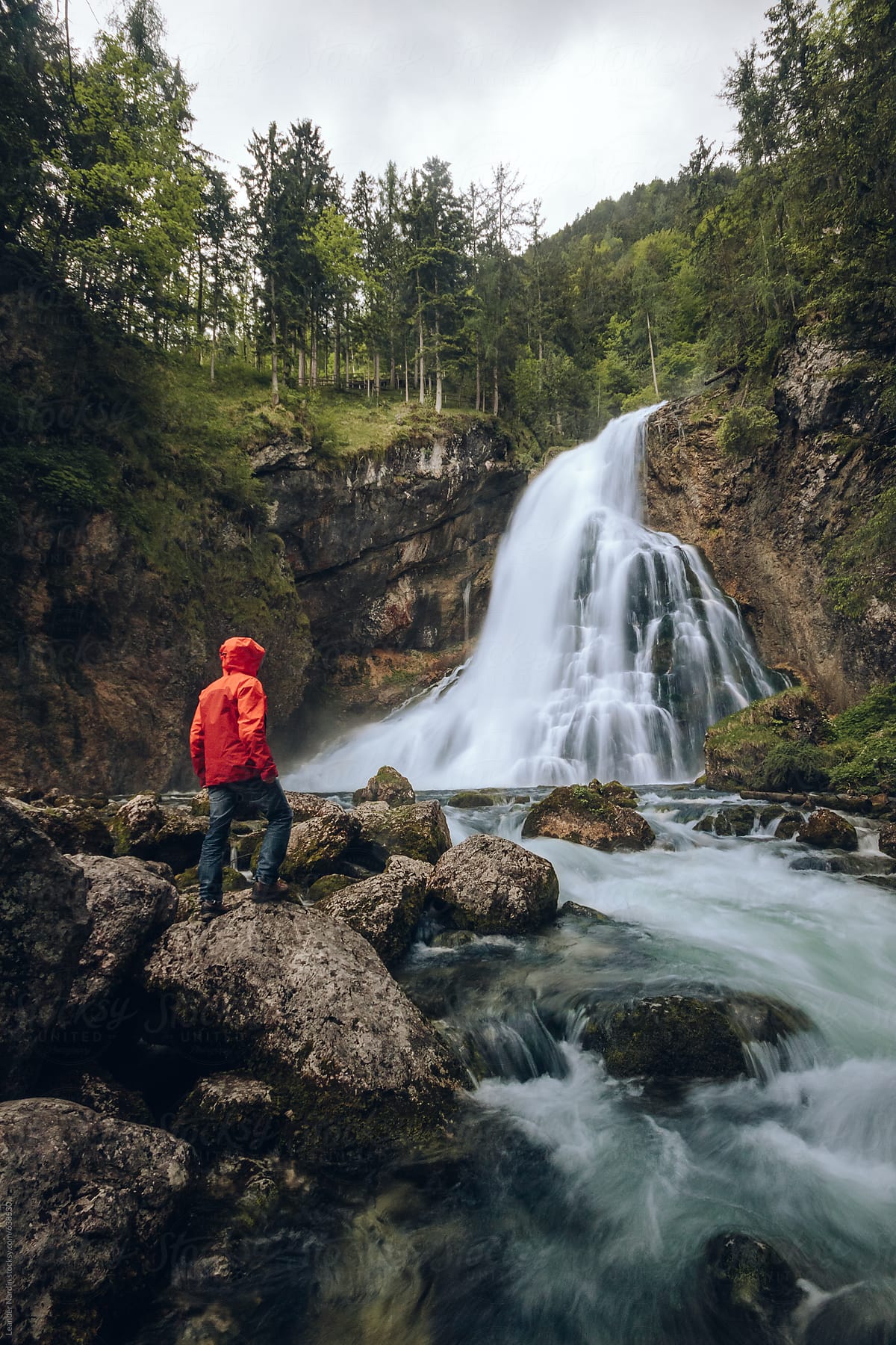 "Male Hiker Standing In Front Of A Waterfall In The Forest" by Stocksy ...