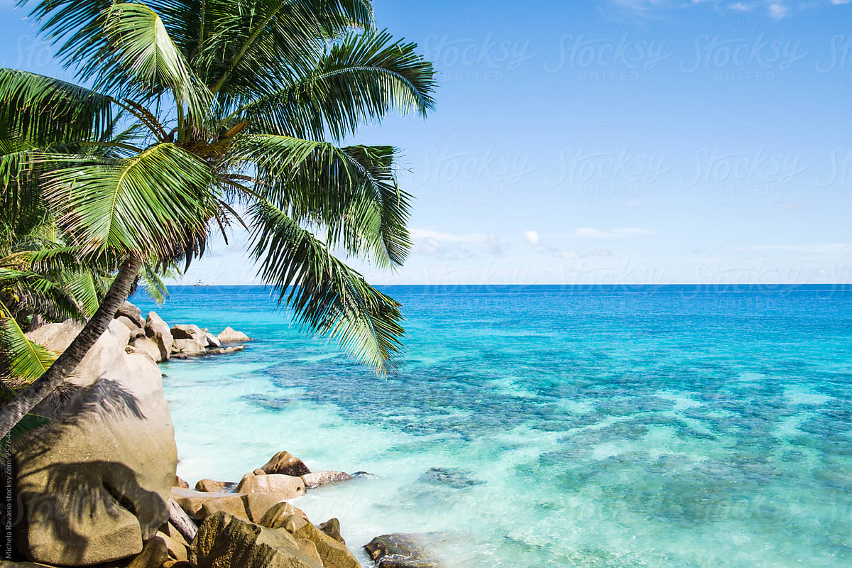 "Beautiful Tropical Scene" by Stocksy Contributor "Michela Ravasio ...