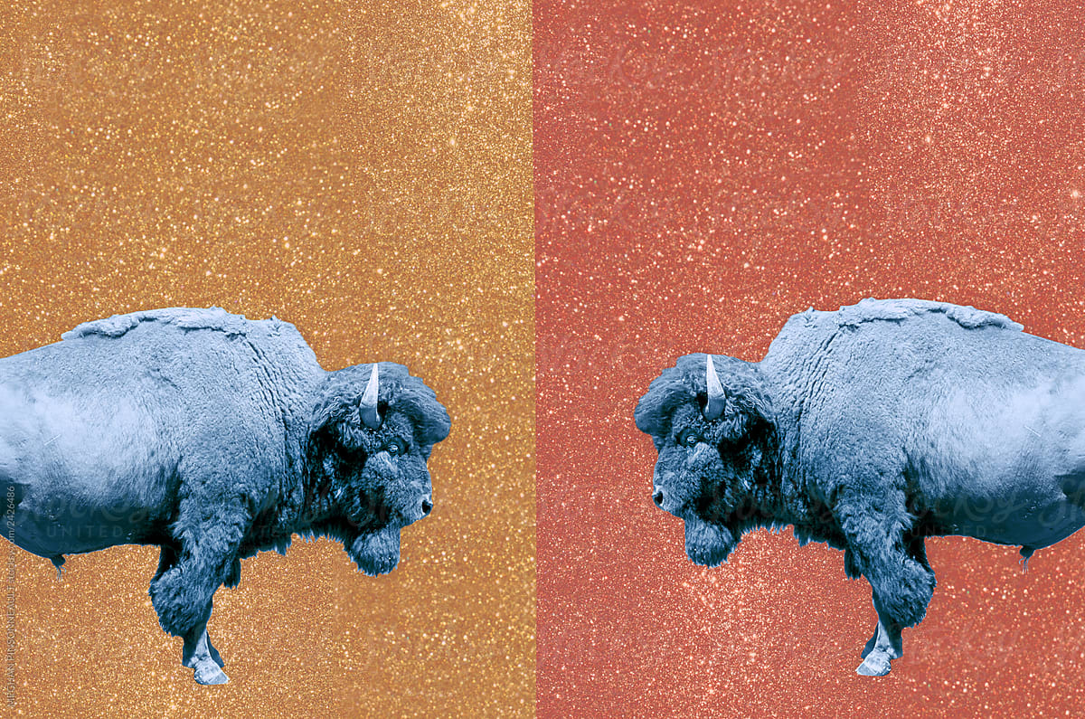 "Blue Buffalo On Glitter" by Stocksy Contributor "Meg Pinsonneault ...