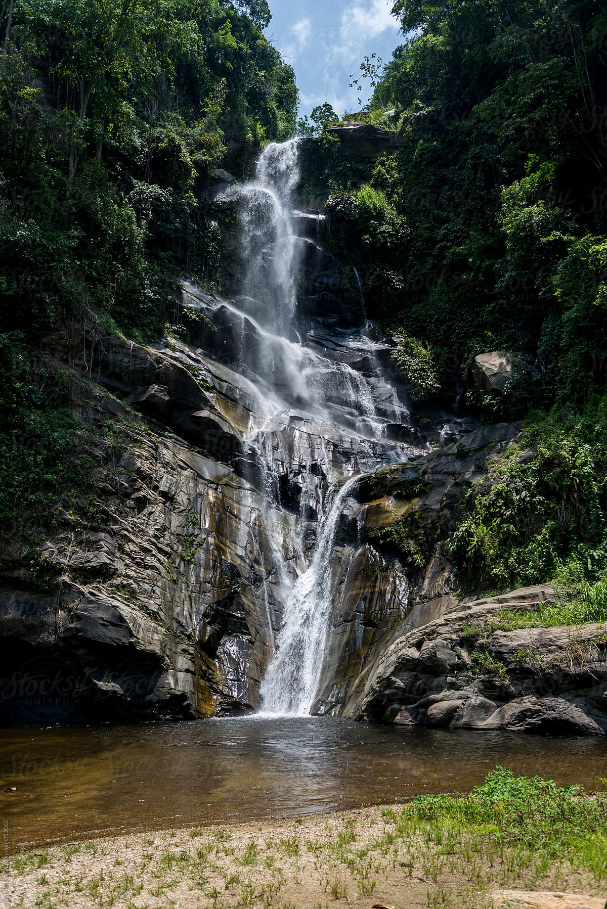 "The Lush Green Foliage Around Shadow Falls, Venezuela" by Stocksy ...