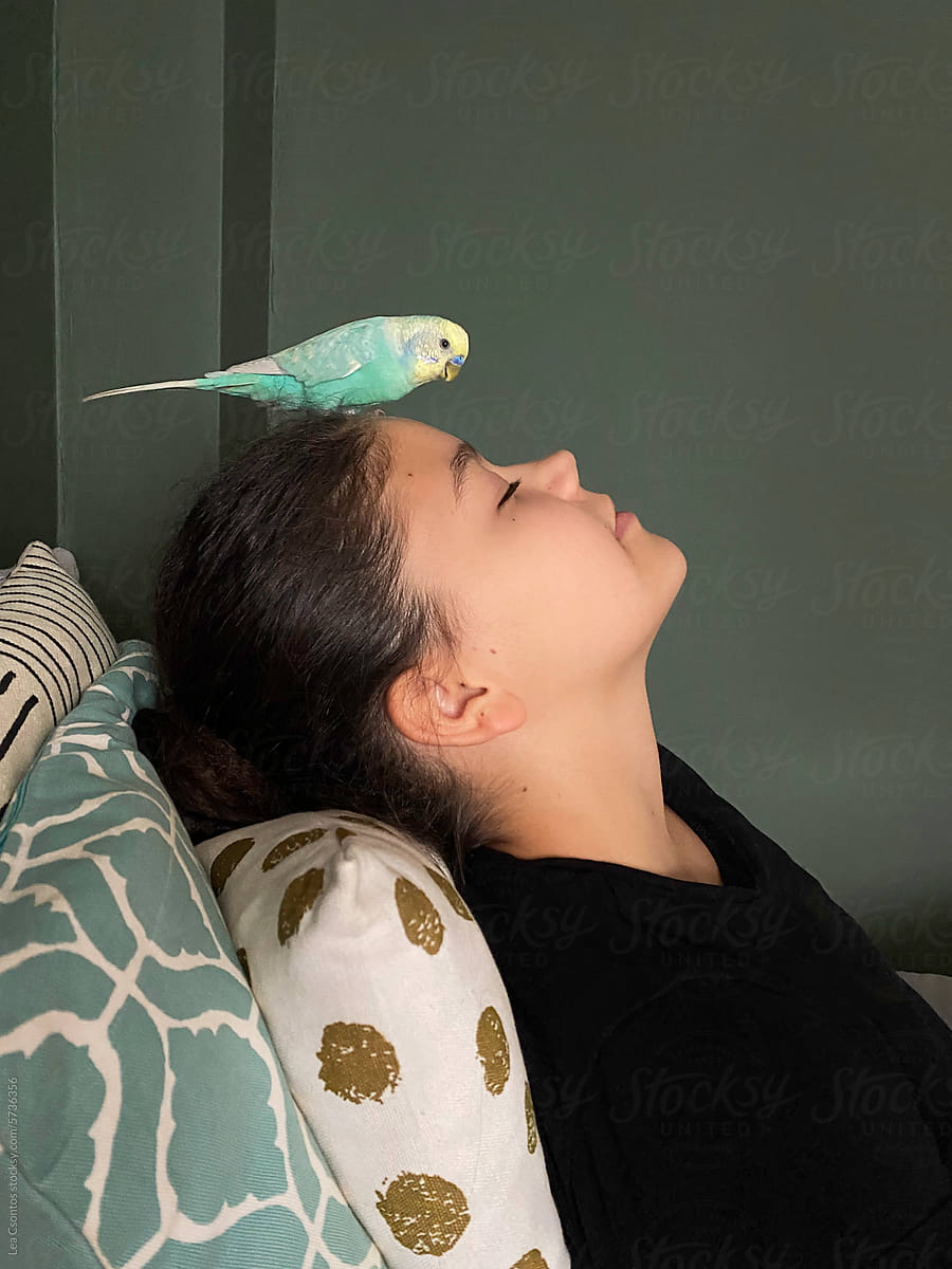 "Portrait Of A Girl With Her Tame Budgie/parrot" by Stocksy Contributor ...