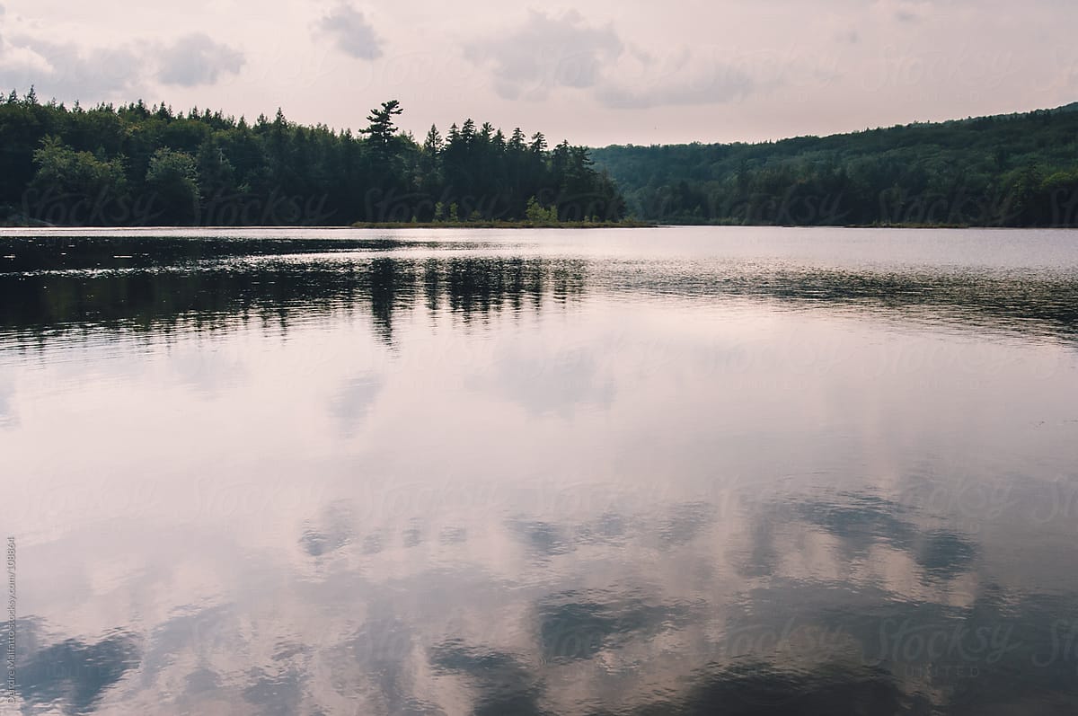 "Reflections Of Clouds And Trees On A Lake" by Stocksy Contributor ...
