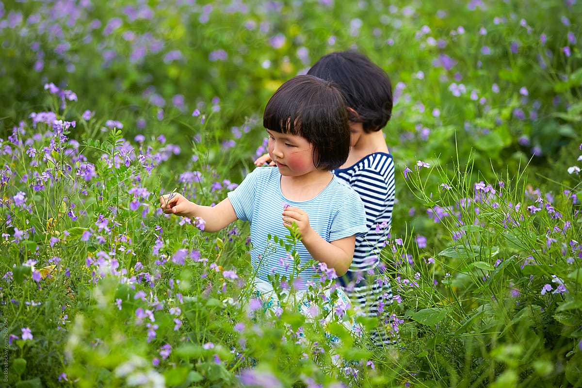 "Two Lovely Little Girls Picking Flowers Outdoor In The Spring Field ...