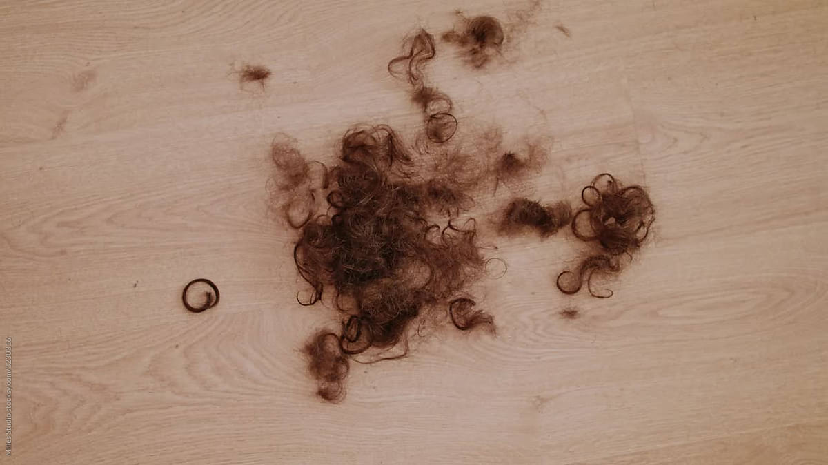 "Heap Of Cut Hair On Floor" by Stocksy Contributor "Milles Team" - Stocksy