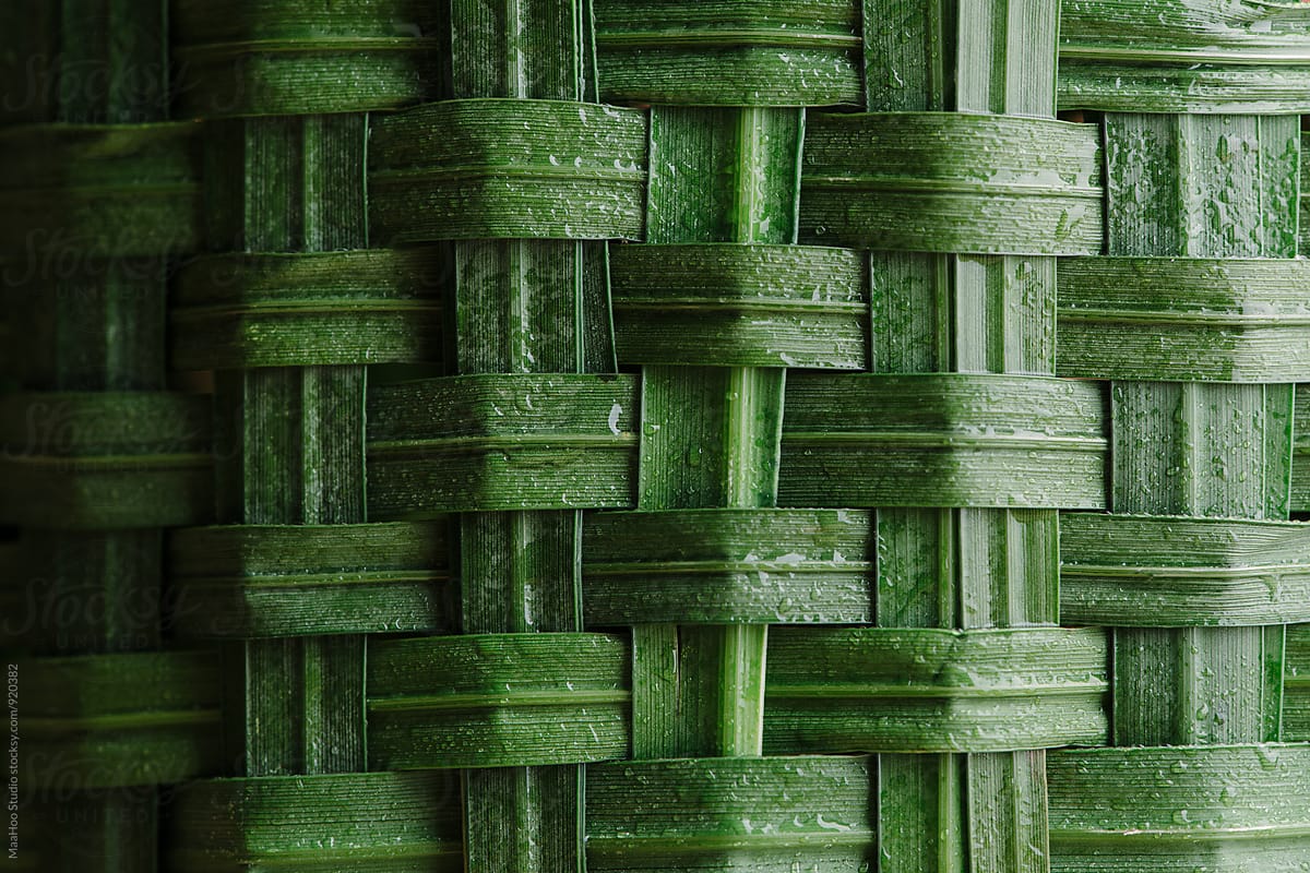 "Close-up Of Woven Leaf" by Stocksy Contributor "MaaHoo" - Stocksy