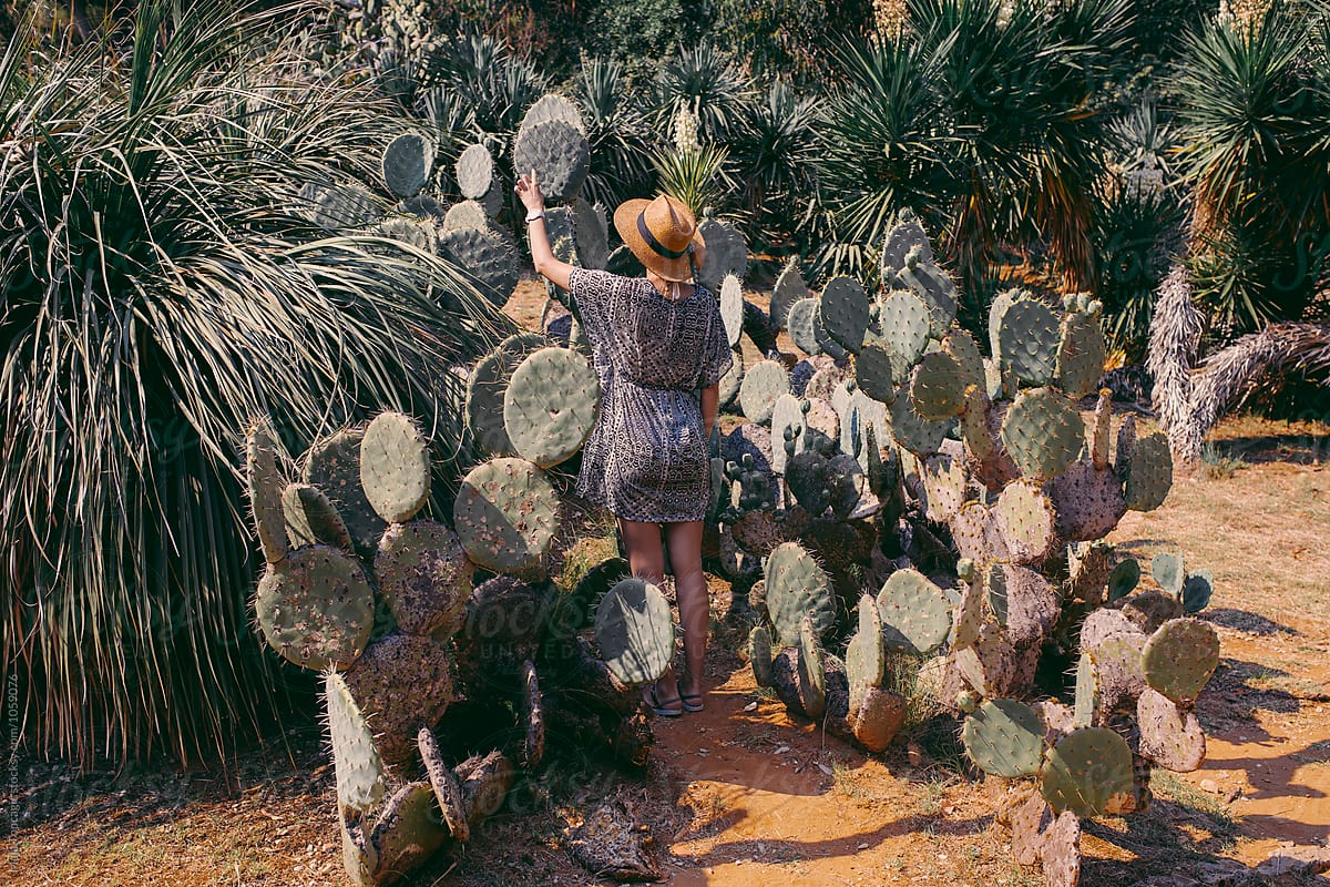 "Woman In Botanical Garden" by Stocksy Contributor "Maja Topcagic ...