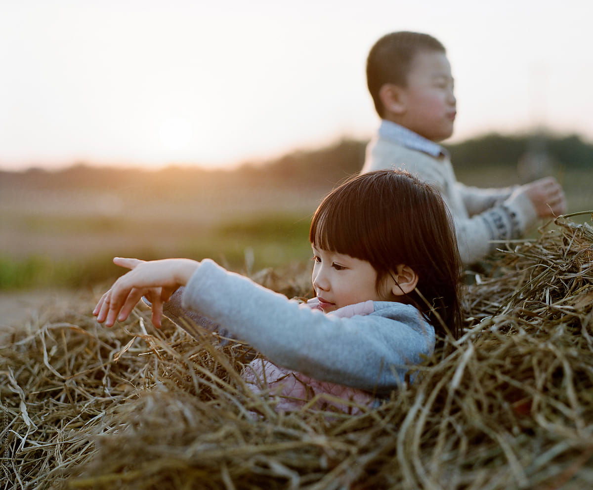 "Asian Children Playing On Straw Piles In The Field At Sunset" by ...