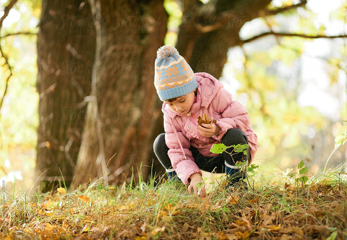 "Little Girl Collecting Autumn Leaves In The Forest" by Stocksy ...