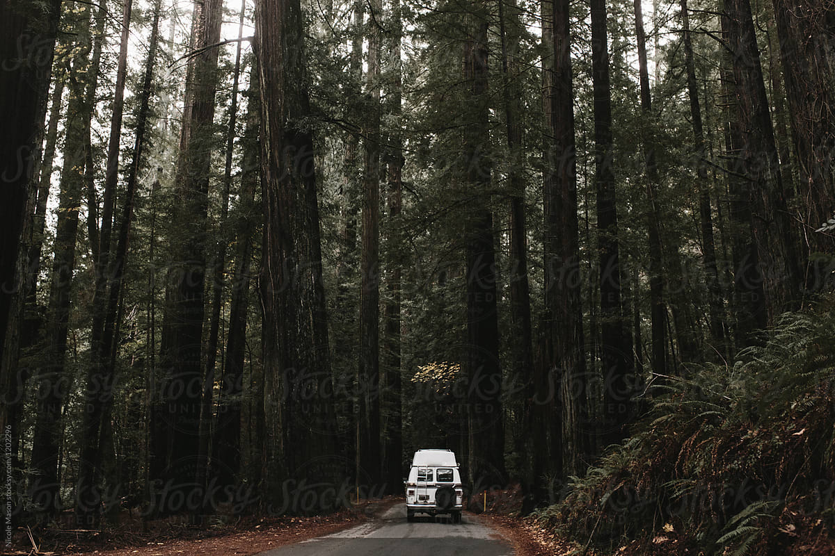"Camper Van Going Into Tall Forest" by Stocksy Contributor "Nicole ...