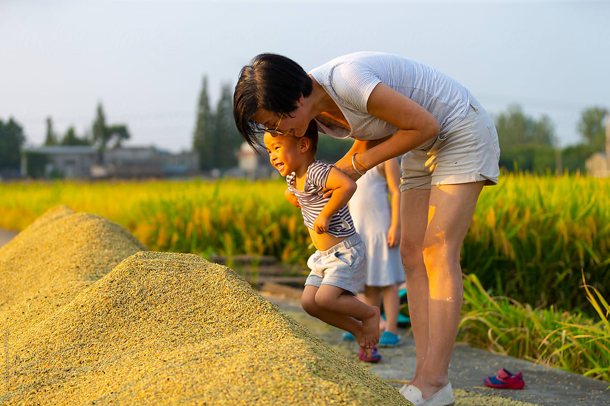 "Happy Asian Family In The Rice Field" by Stocksy Contributor "Bo Bo ...