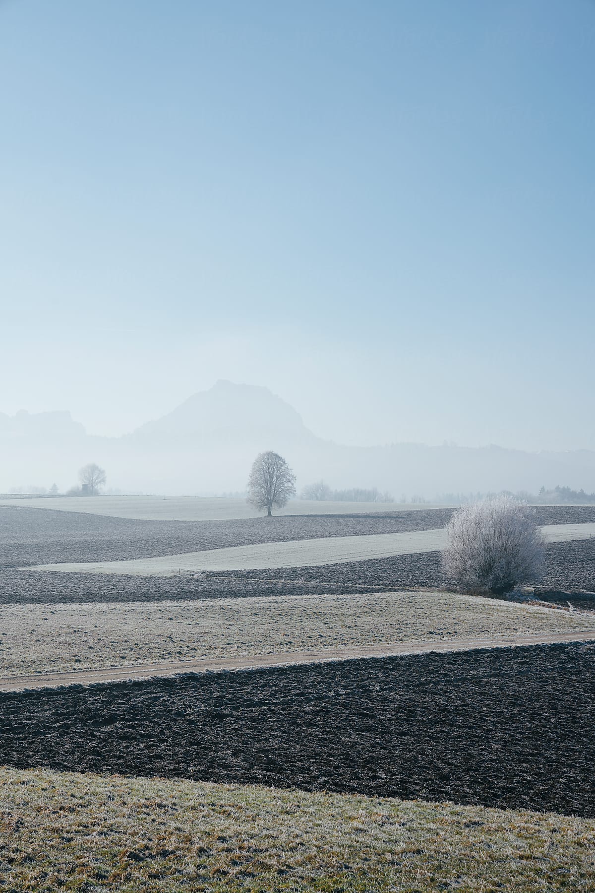 "Frozen Fields In Winter" by Stocksy Contributor "Robert Kohlhuber ...