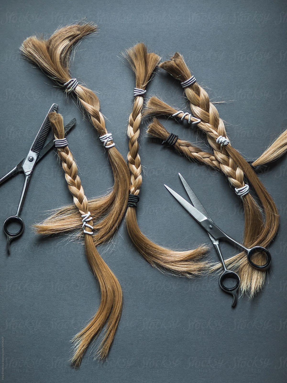 "Chopped Off Blond Braided Hair On A Grey Background" by Stocksy ...