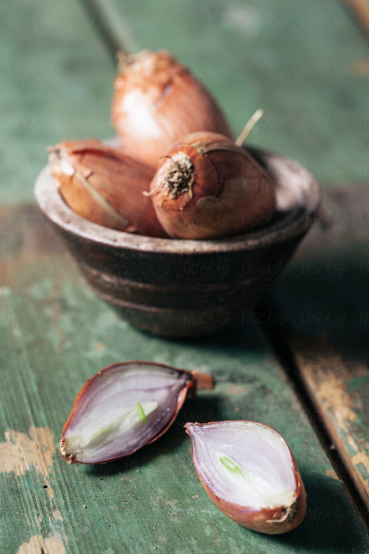 "Fresh Shallot" by Stocksy Contributor "Studio Serra" - Stocksy