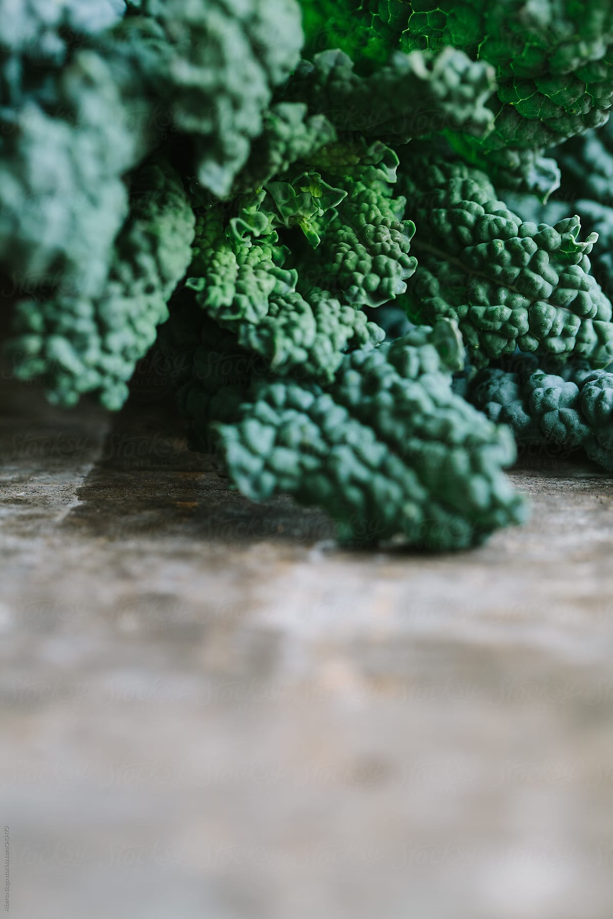 "Close Up Of Black Cabbage" by Stocksy Contributor "Studio Serra" - Stocksy