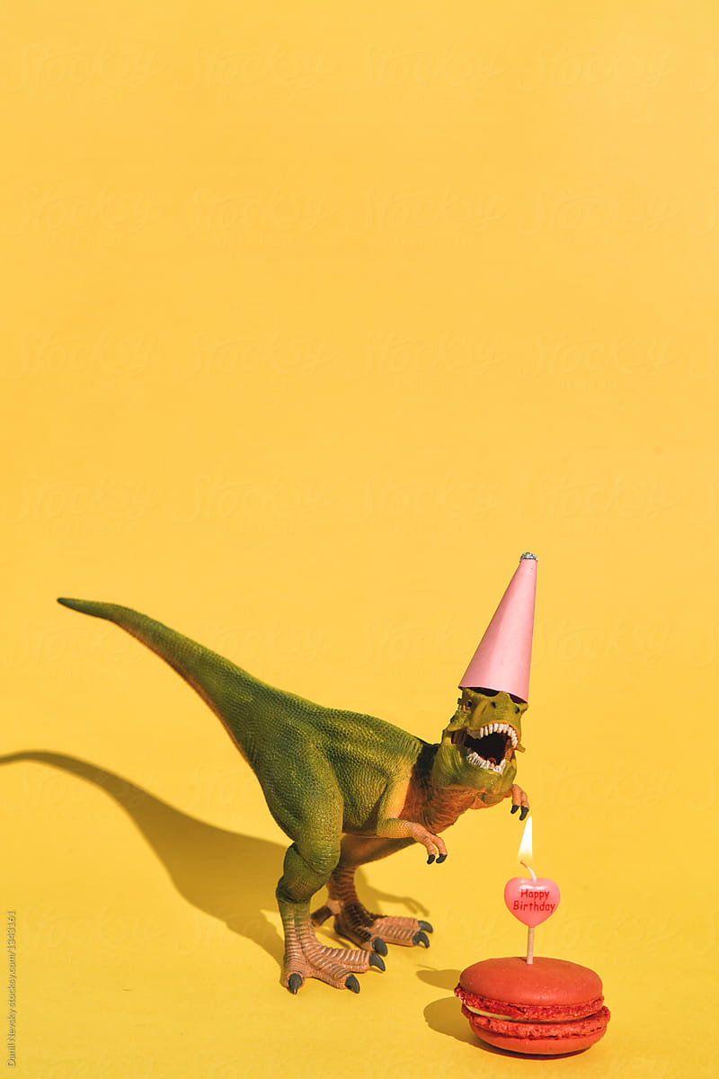 "Little T-Rex Celebrating Birthday" by Stocksy Contributor "Danil ...