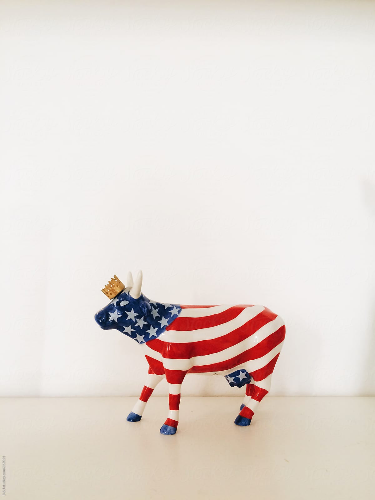"Patriotic Cow" by Stocksy Contributor "B & J" - Stocksy
