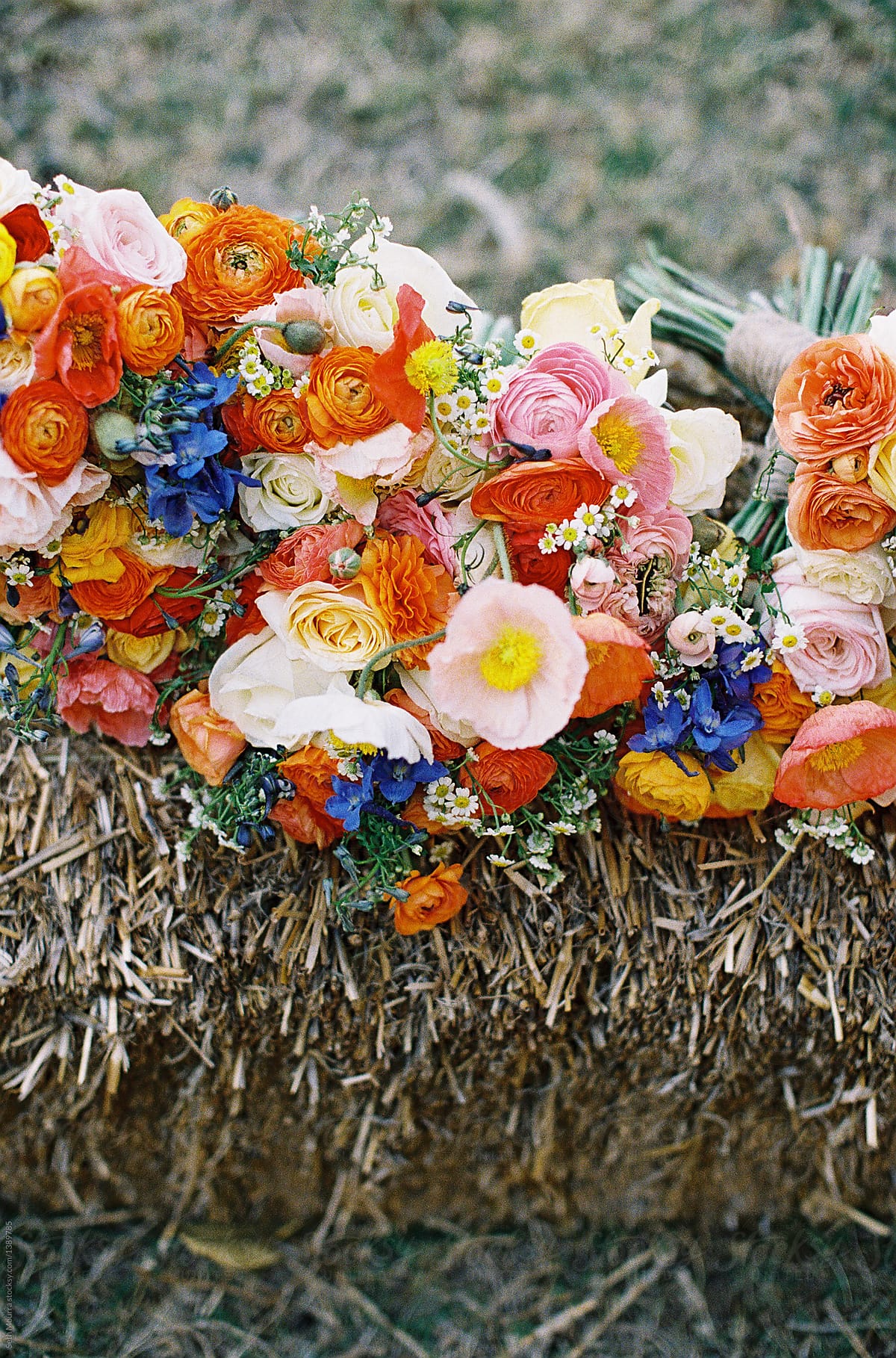 "Colorful Barn Wedding Bouquets" by Stocksy Contributor "Seth Mourra ...
