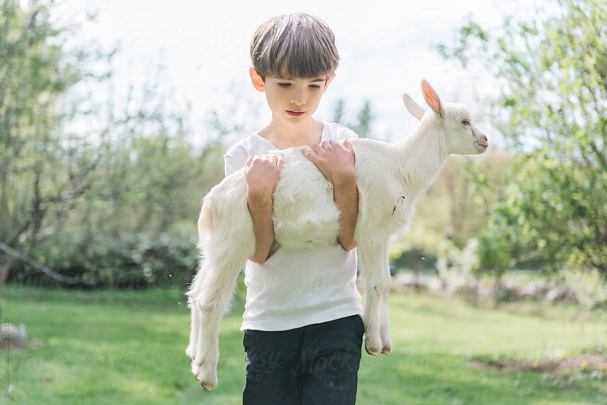 "Boy Carries Young Goat Across The Lawn Of A Farm" by Stocksy ...