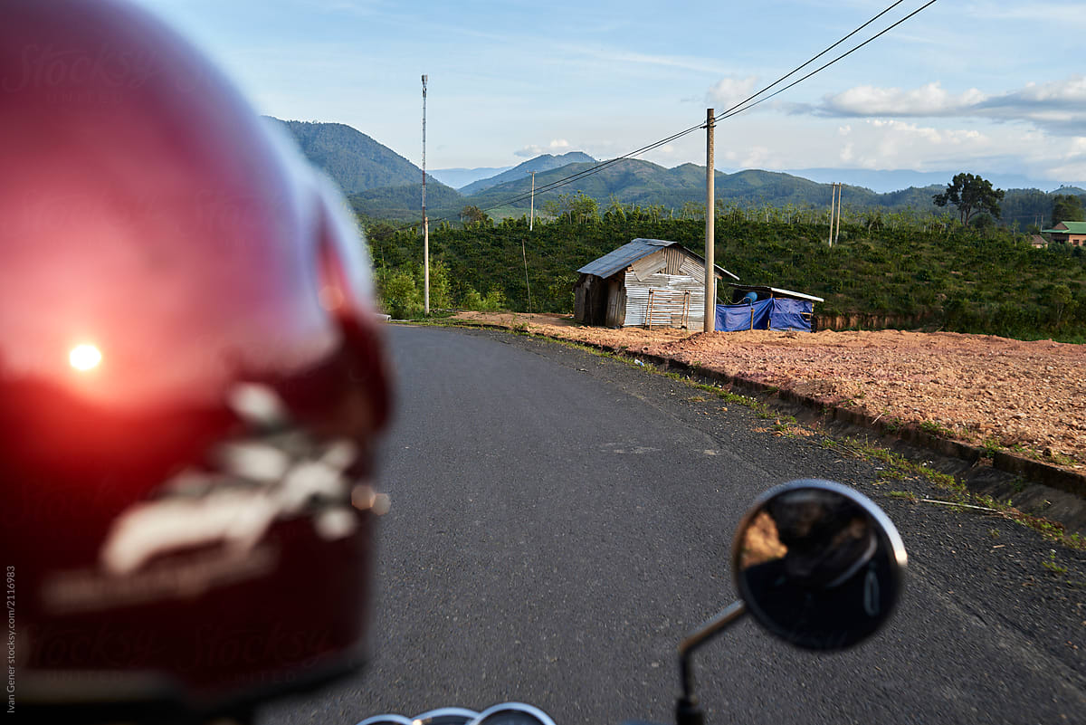 "Bike Driver From Behind At Sunset" by Stocksy Contributor "Ivan Gener ...