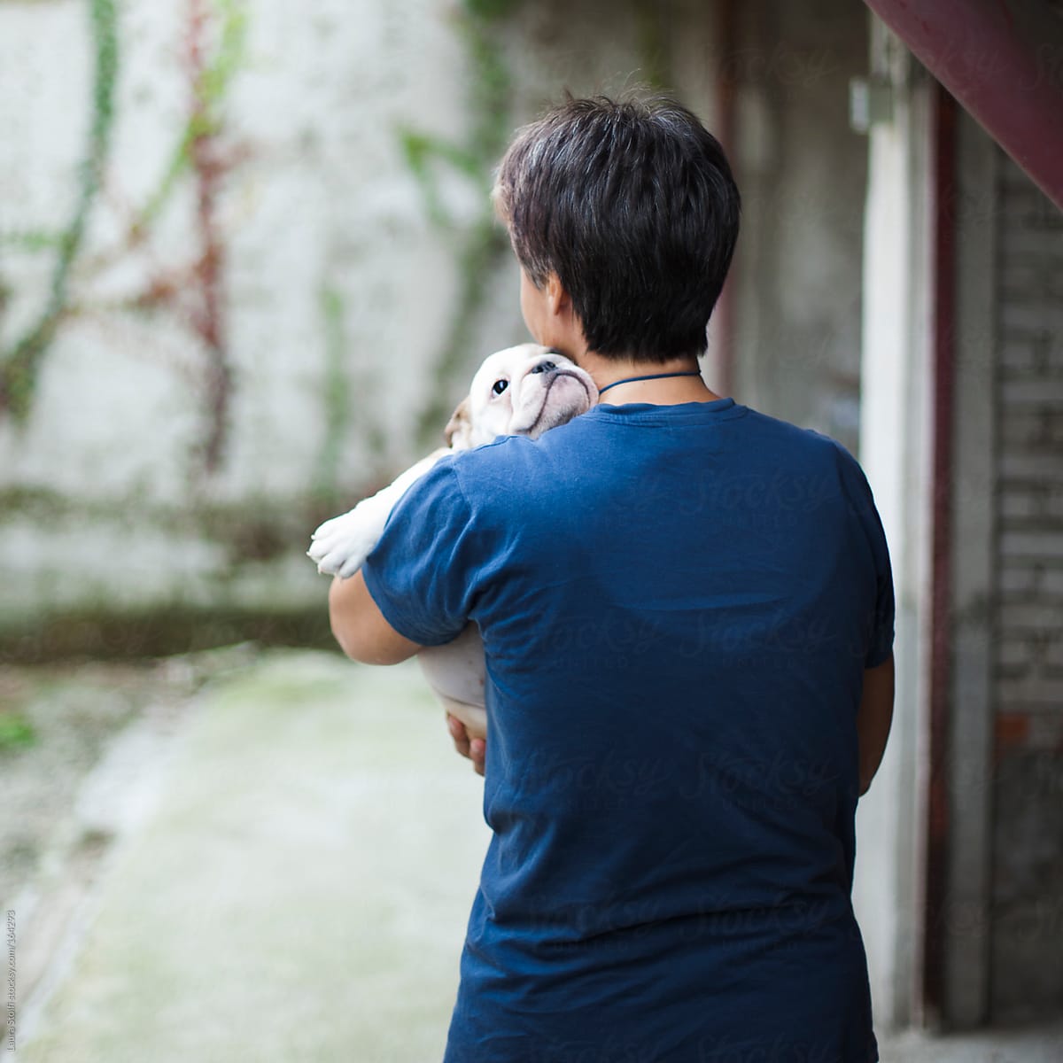 "Woman Hugging Bulldog Puppy" by Stocksy Contributor "Laura Stolfi ...