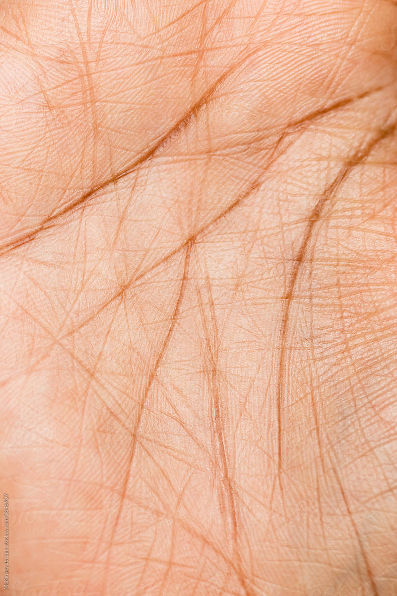 "Detail Shot Of Lines On Palm Of Hand" by Stocksy Contributor "McKinsey ...