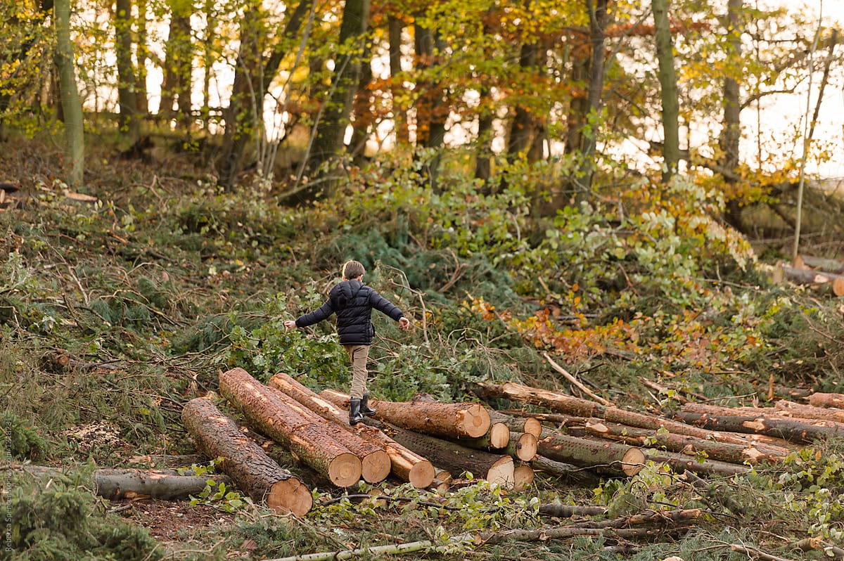 "Curious Tween Boy Clambers Through A Pile Of Logs" by Stocksy ...
