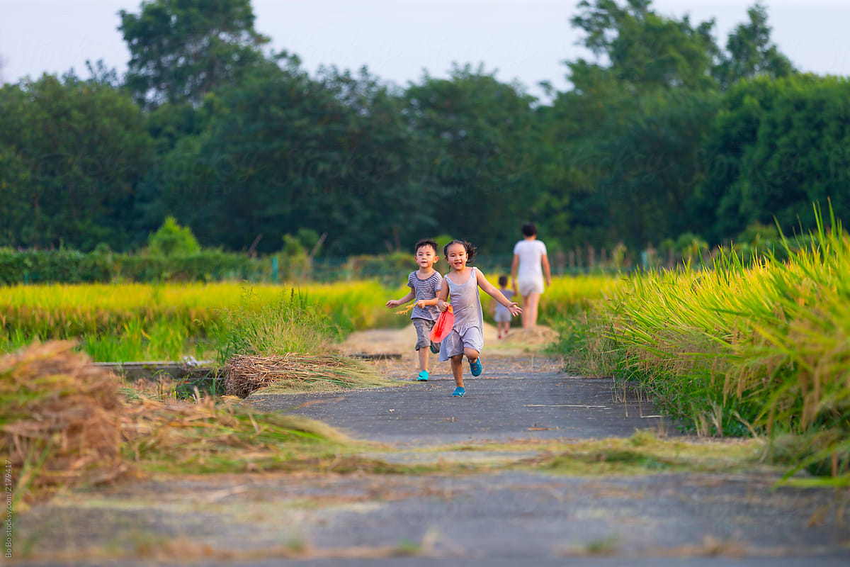 "Happy Asian Family In The Rice Field" by Stocksy Contributor "Bo Bo ...