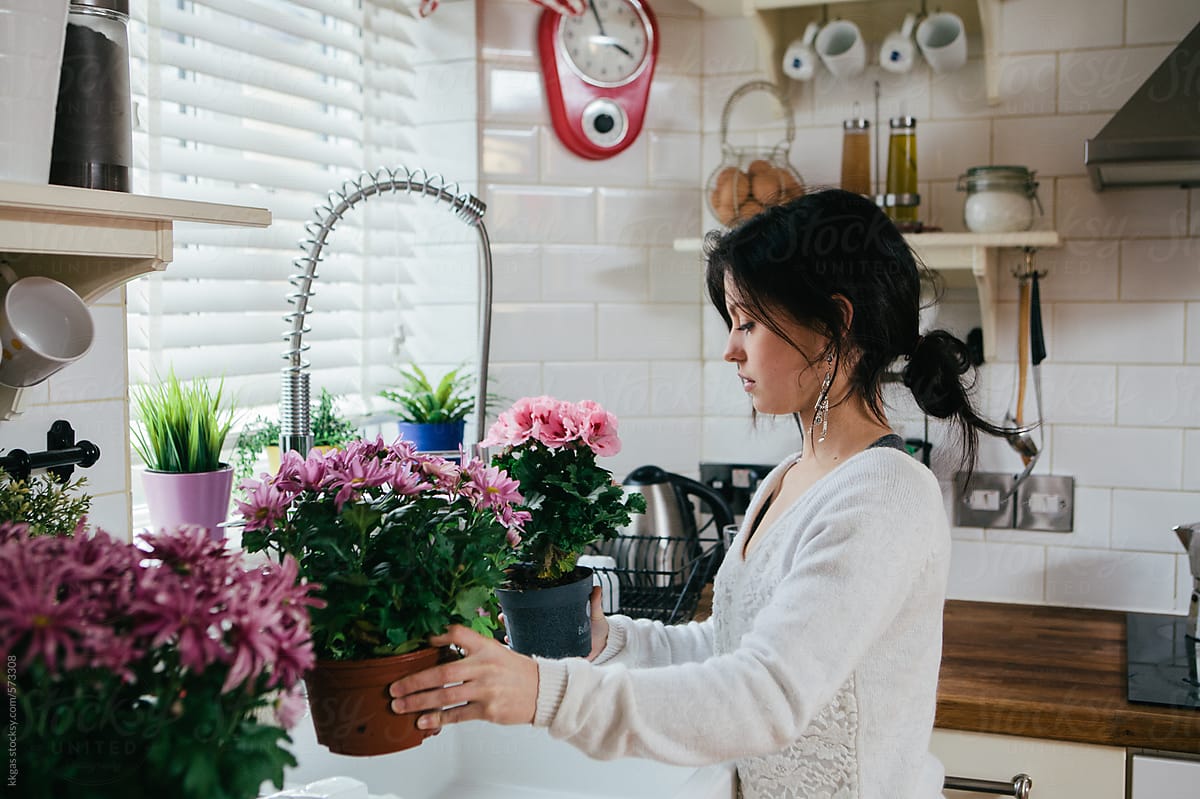"Young Woman Arranging Houseplants In Her Home" by Stocksy Contributor ...