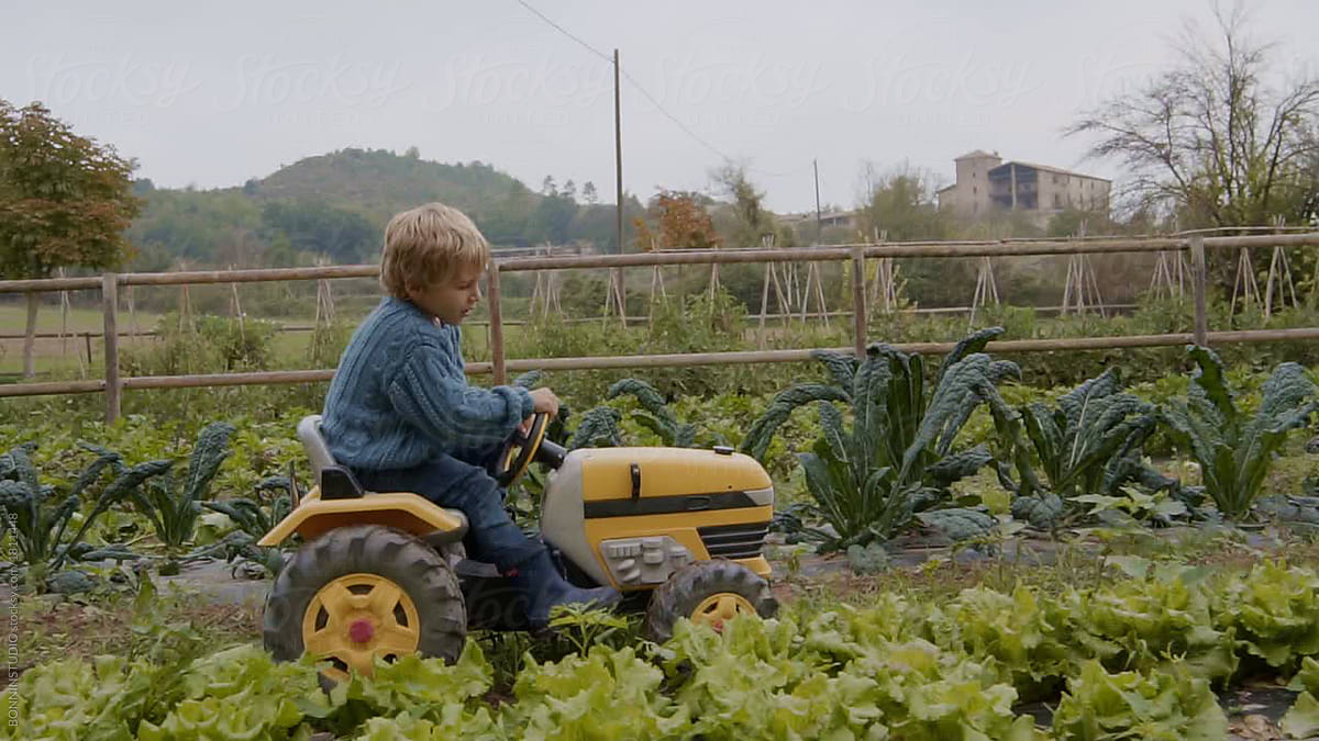 "Little Boy Driving A Tractor In A Farm." by Stocksy Contributor ...