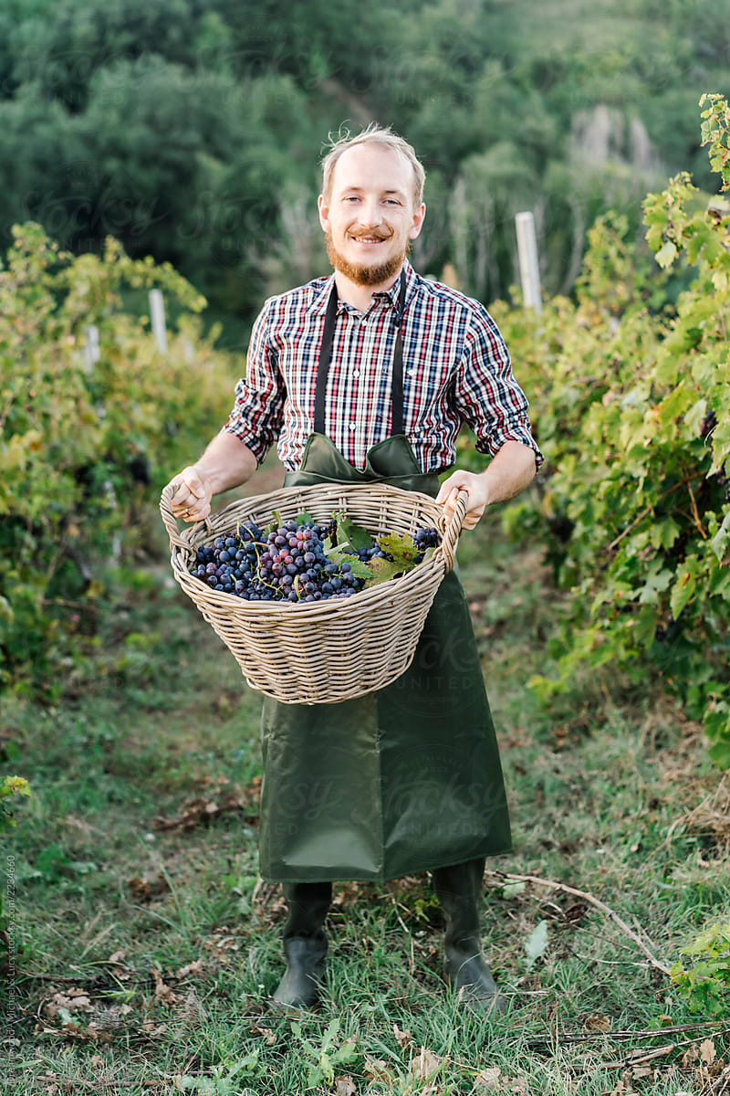 "Smiling Man Standing On Vineyard" by Stocksy Contributor "Dreamwood ...