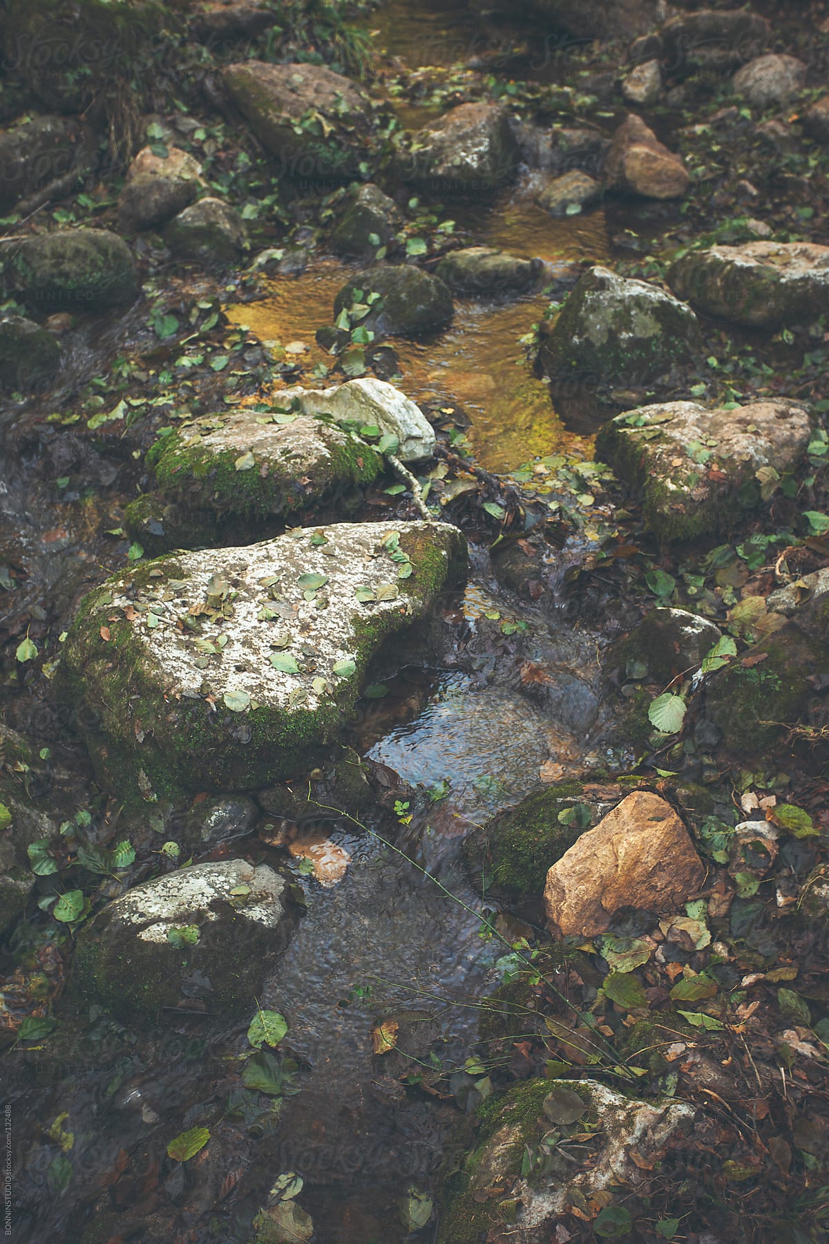 "Closeup Of River Stones." by Stocksy Contributor "BONNINSTUDIO " - Stocksy