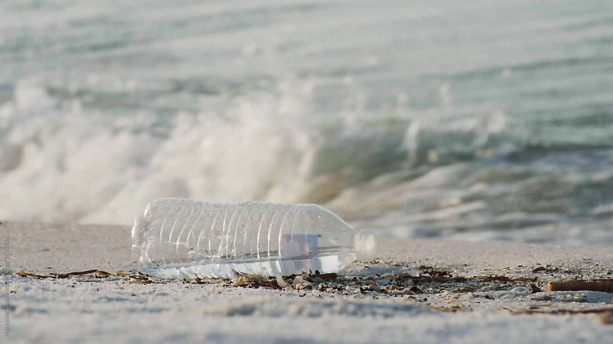"Single Use Plastic Bottle Beach Trash" by Stocksy Contributor ...