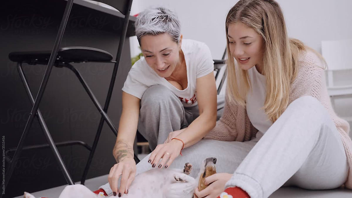 "Cheerful Women Scratching Belly Of Dog" by Stocksy Contributor "Studio ...