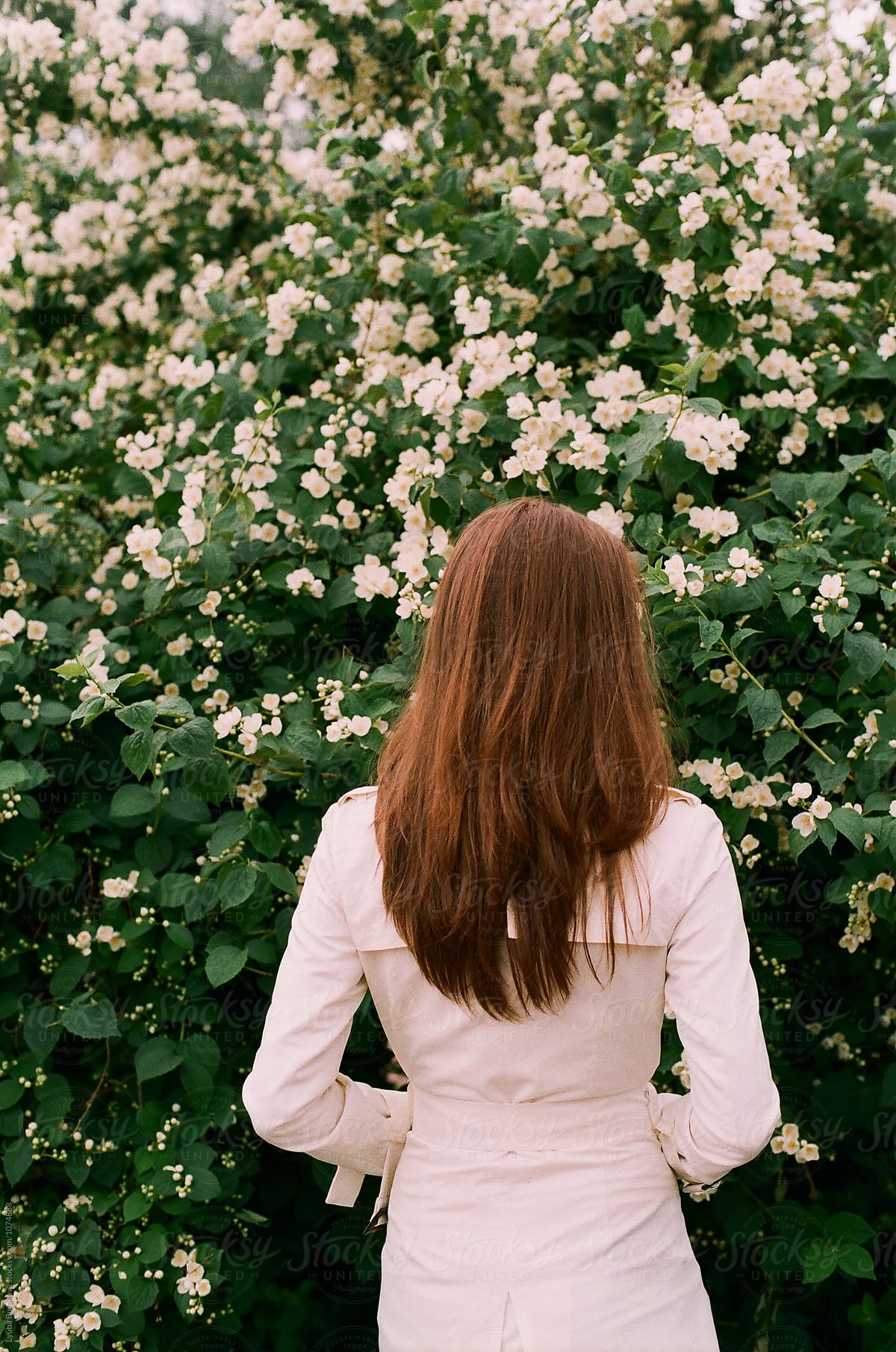 "Back View Of A Woman Standing Against Jasmine" by Stocksy Contributor ...
