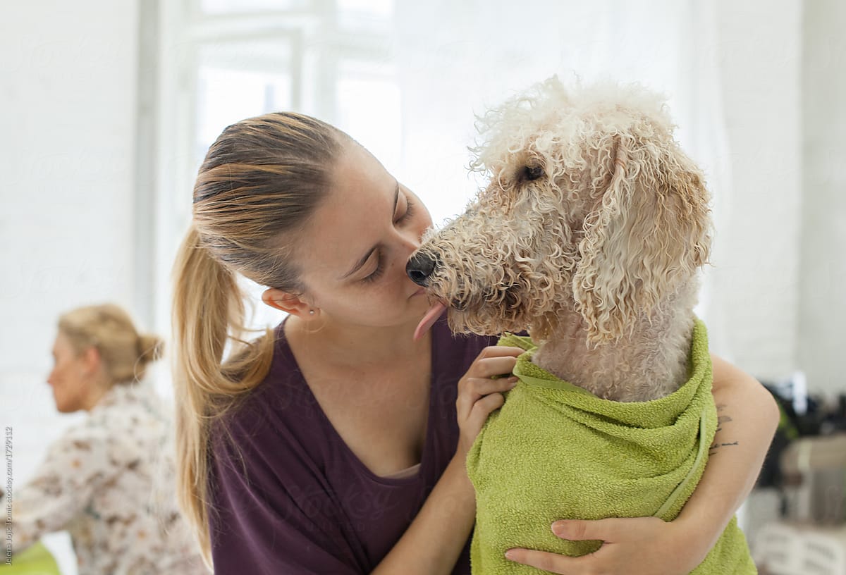"Portrait Of A Woman Drying A Dog In A Towel" by Stocksy Contributor ...