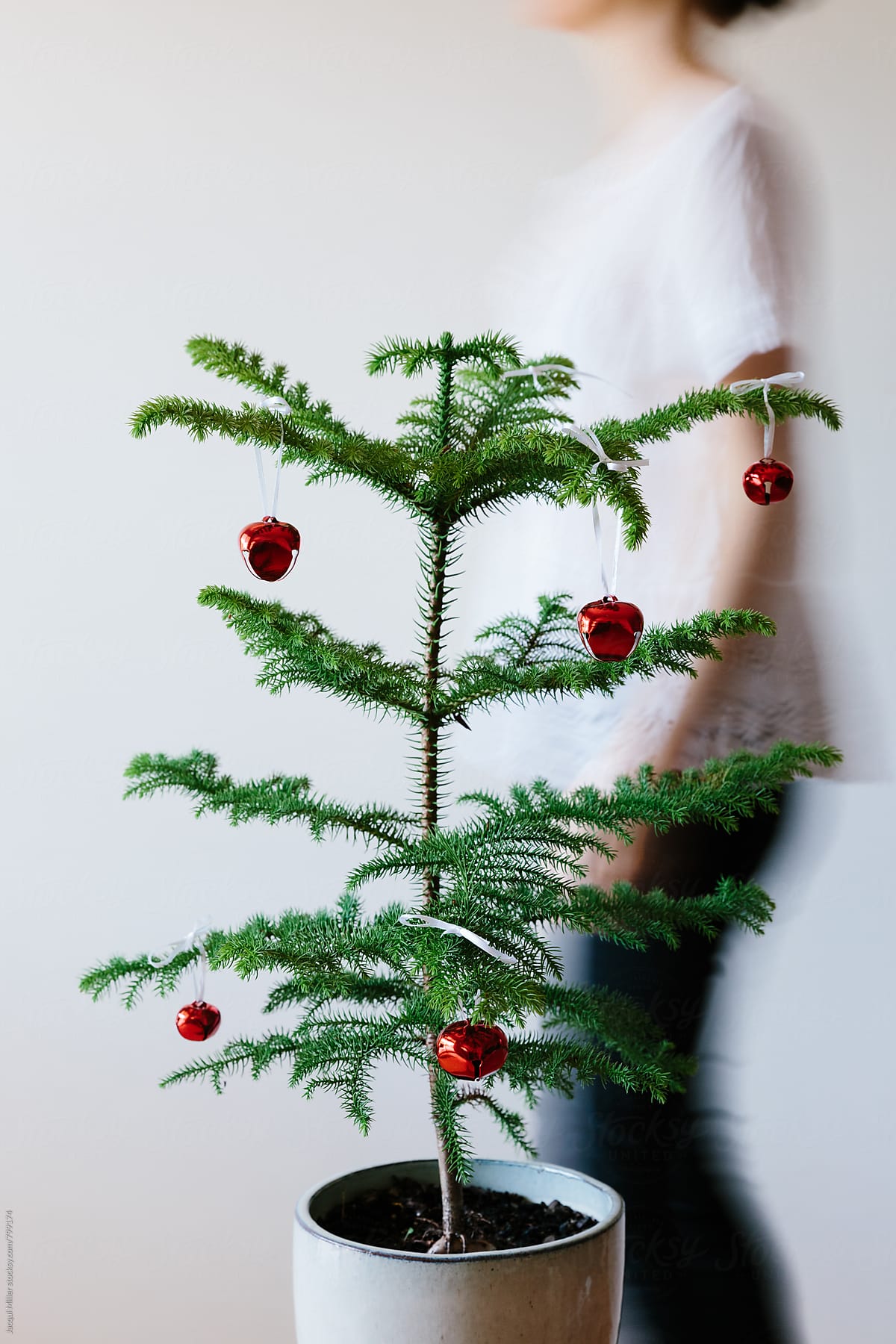 "Motion Of Female Walking Behind Small Christmas Tree" by Stocksy ...