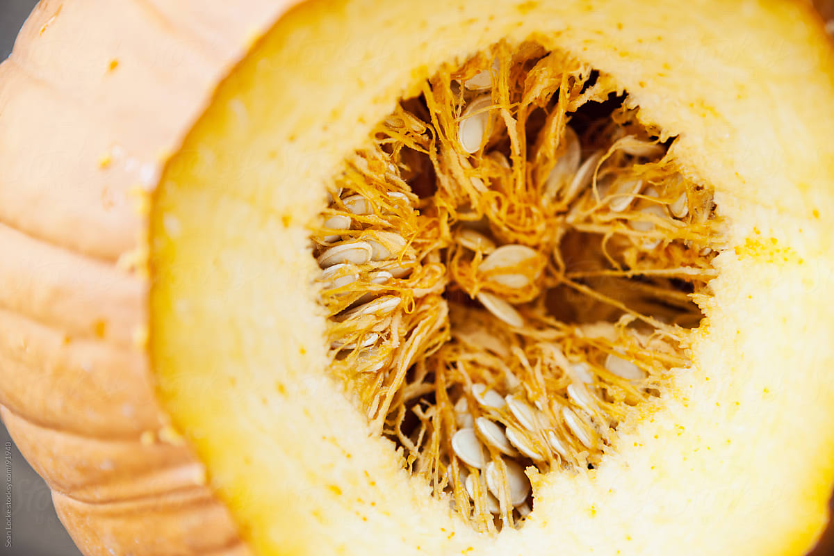 "Overhead View Of Seeds Inside Pumpkin" by Stocksy Contributor "Sean ...