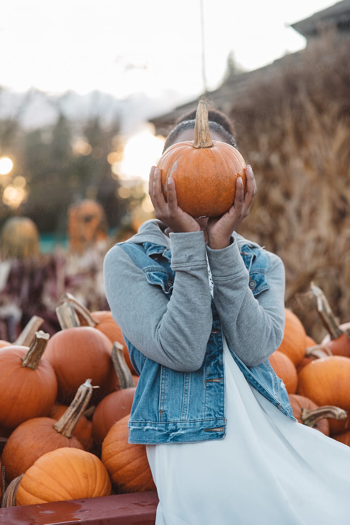 "A Young Woman At A Pumpkin Patch" by Stocksy Contributor "Chelsea ...