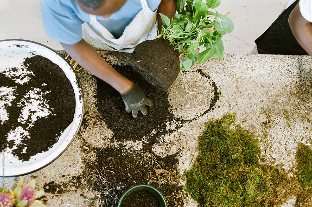 "Working With Plants" by Stocksy Contributor "Bruce And Rebecca ...