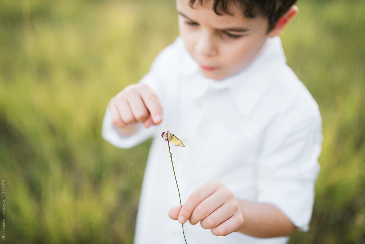 "Boy Touching A Bug" by Stocksy Contributor "Alison Winterroth" - Stocksy