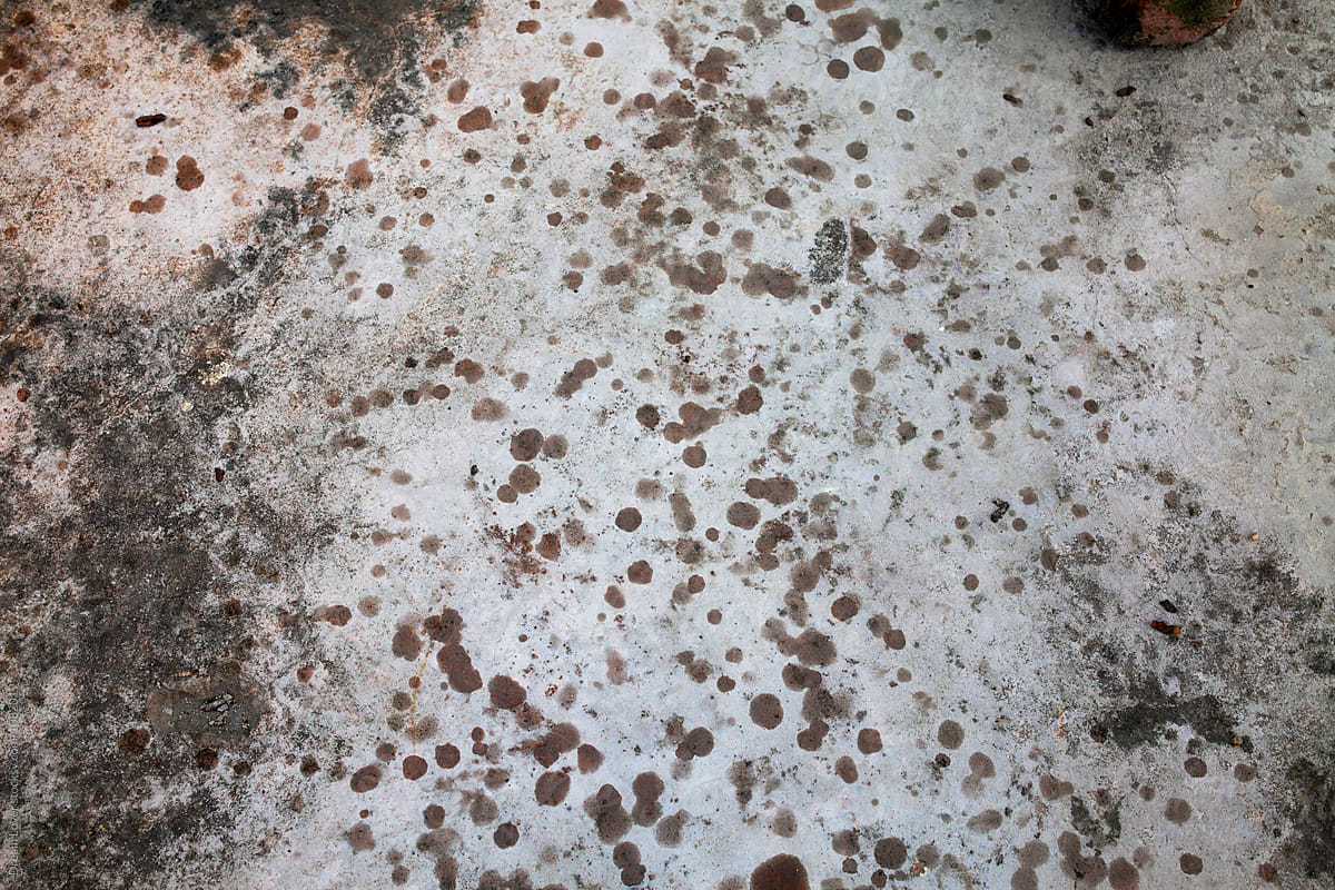 "Raindrops On A Old Concrete Floor" by Stocksy Contributor "Dream Lover ...