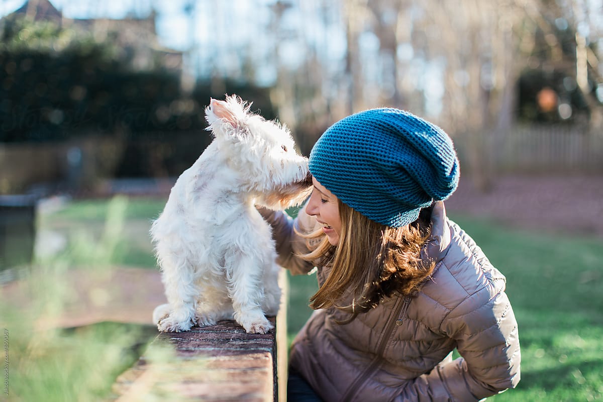 Sweet Kiss Dogs Cute Two Dogs Kissing Images Free Download On