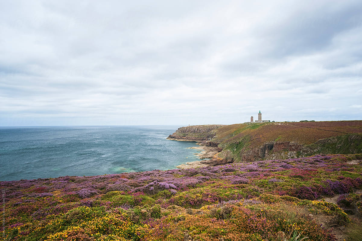 "Landscape In Brittany" by Stocksy Contributor "koganami studio" - Stocksy