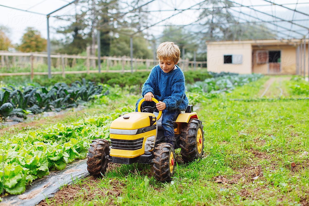 "Little Boy Driving A Tractor In A Farm." by Stocksy Contributor ...