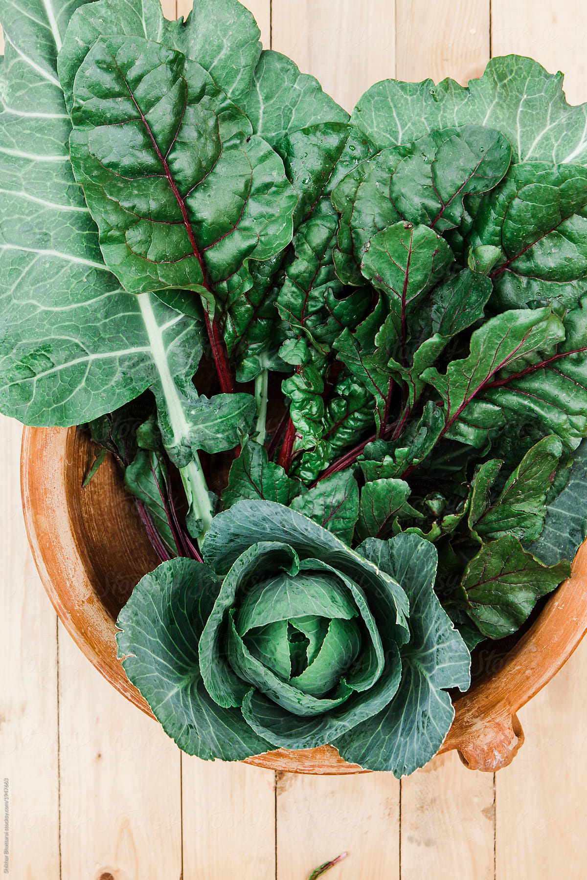 "Detail Of Fresh Produce From A Vegetable Garden." by Stocksy ...